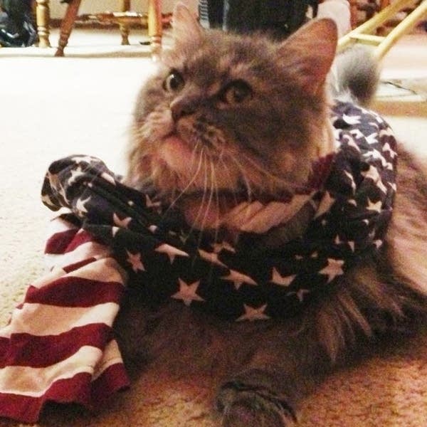 Patriotism via flag desecration | MPR News