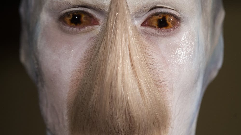 Photos: Twitter and Facebook's favorite AP pictures of the year | MPR News