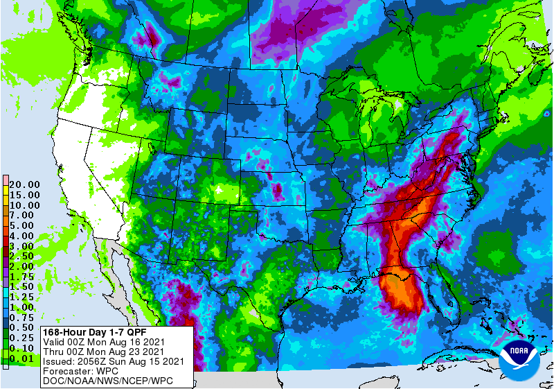 Hotter, more humid weather returns | MPR News