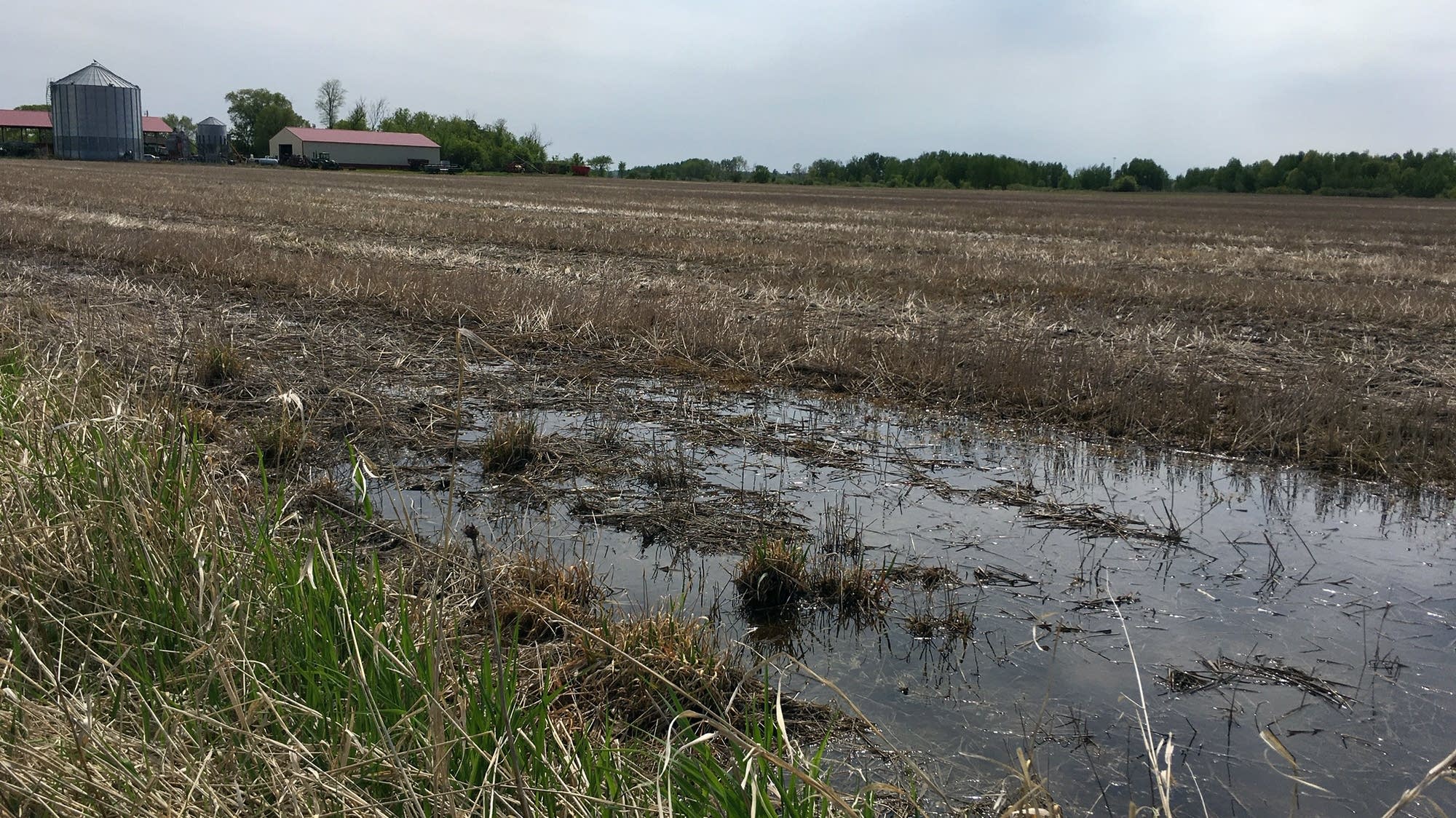 Some U.S. farmers get a reprieve at end of challenging year | MPR News