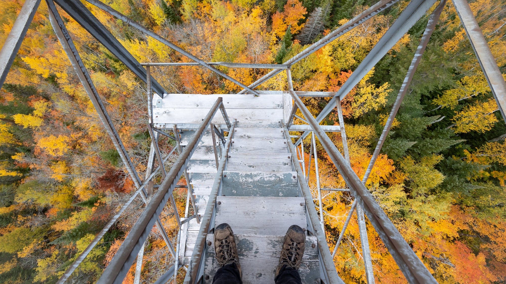 Let the hues begin: Fall foliage colors coming to Minnesota in 3, 2, 1 ...