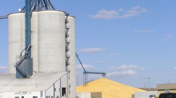 Big piles of grain in farm country | MPR News