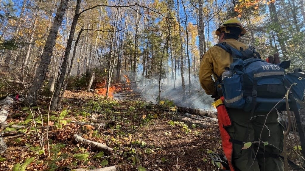 Lightning sparked fire along North Shore, fire officials report | MPR News