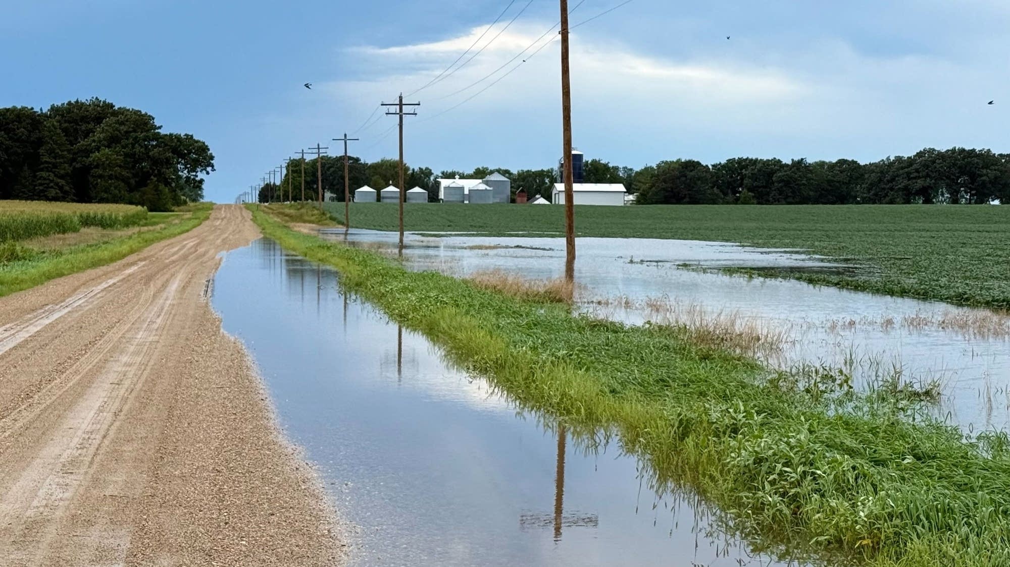 Report shows where weeds, moisture and labor shortages hit regional ...