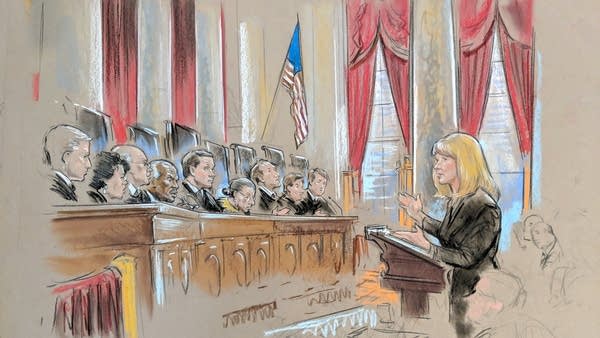 S2 E13: Oral Arguments | In the Dark | APM Reports