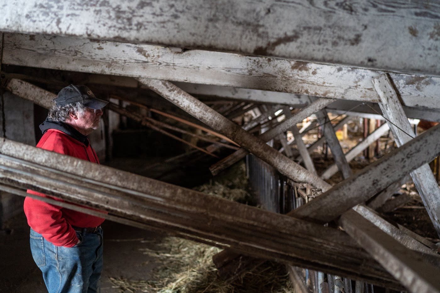 As barns collapse, farmers lose cows, income, sleep | MPR News