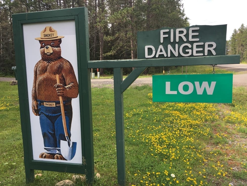 Smokey at 75: America's iconic fire-preventing bear evolves his message ...