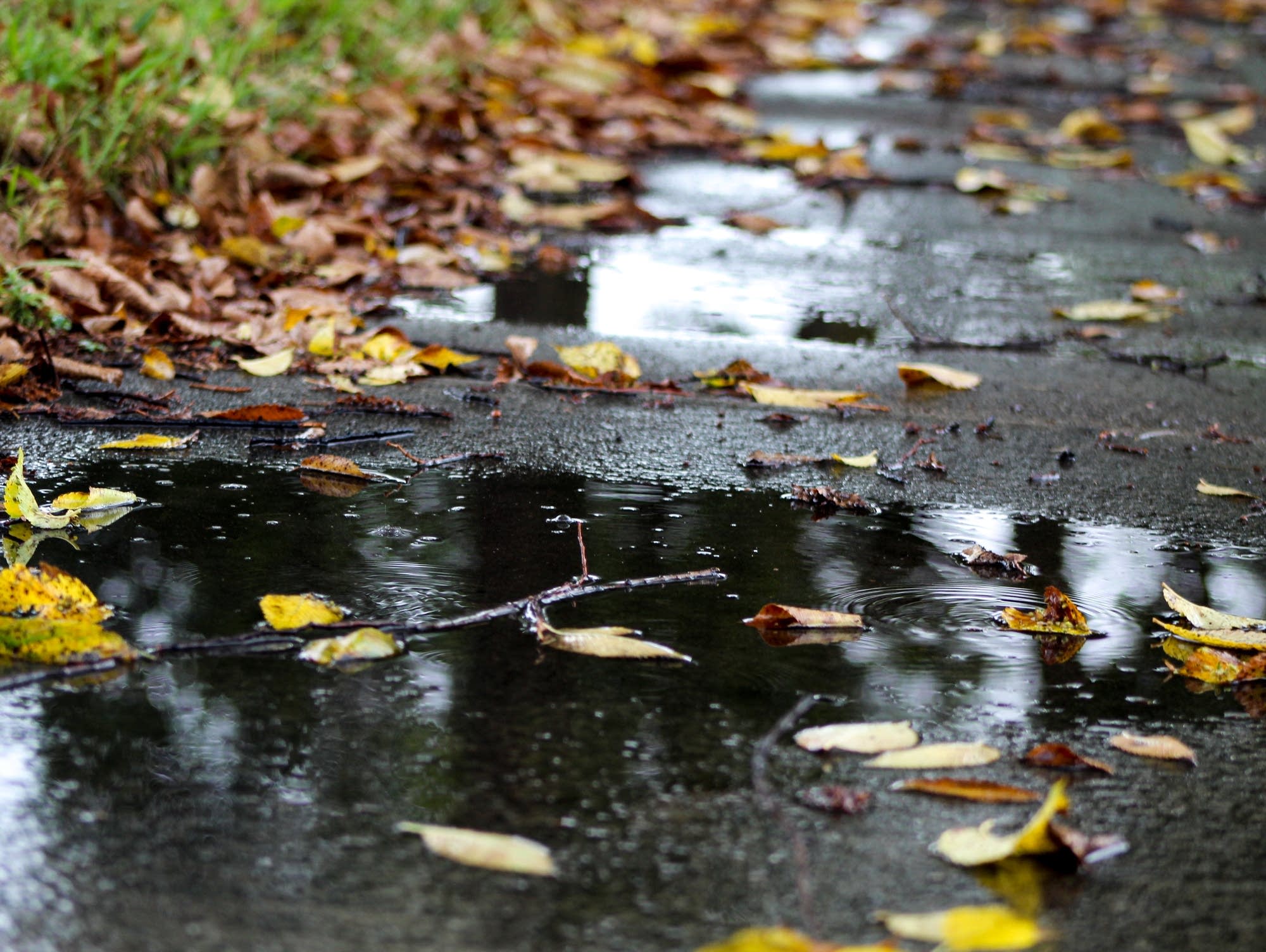 Much of Minnesota sees rain, but not enough to break drought | MPR News
