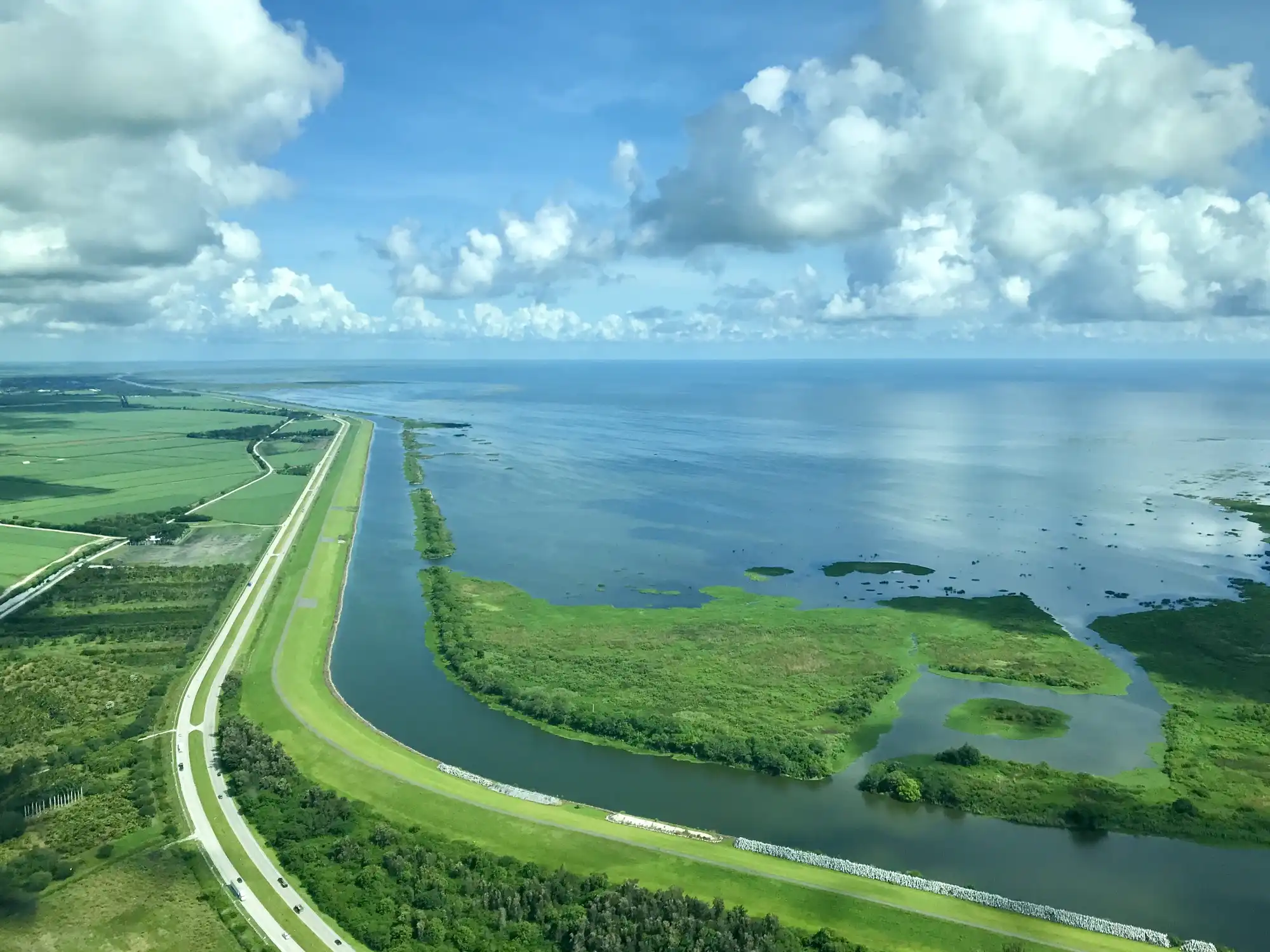 Swampland for Sale
