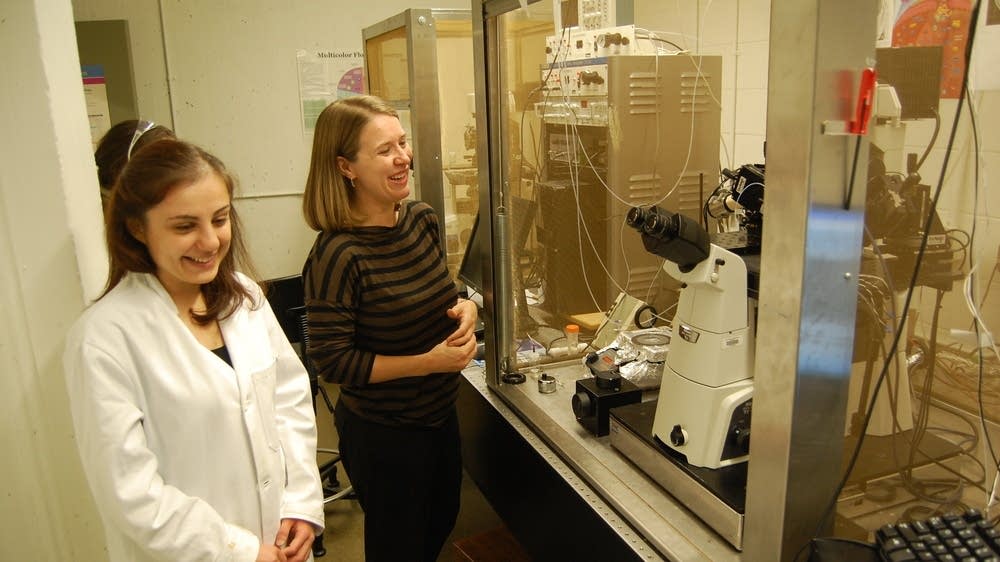 Univ. of Minn. chemist seeks greater understanding of blood | MPR News