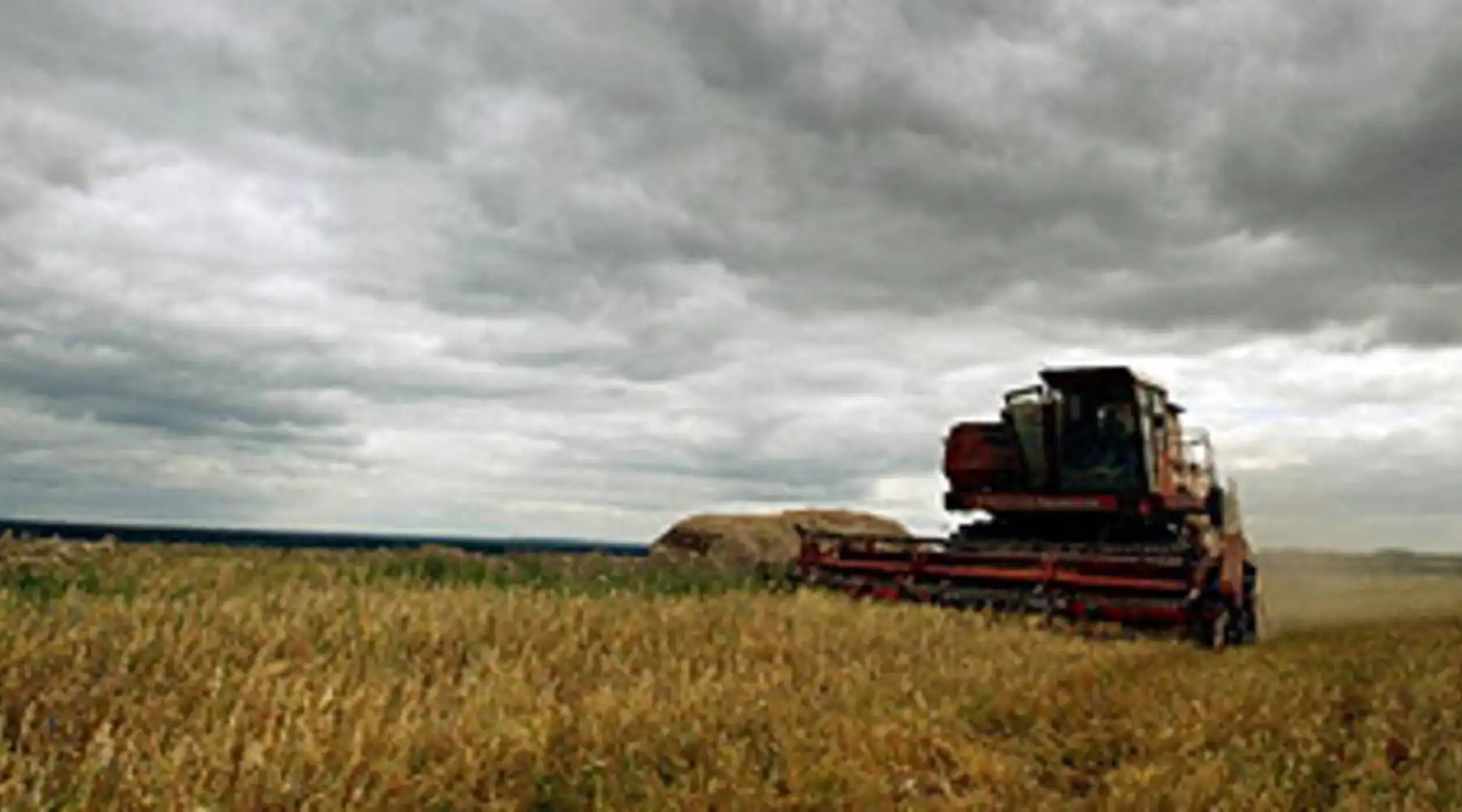 War in Ukraine complicates the world’s wheat situation