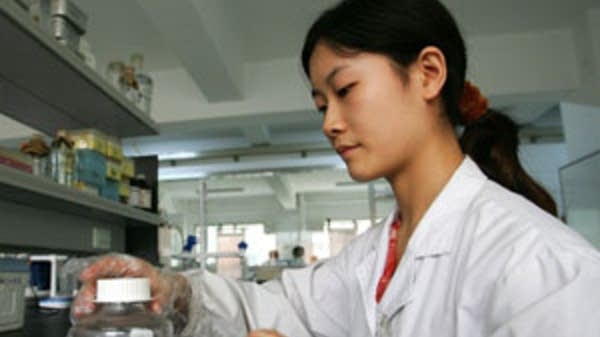 The growing math and science gap | MPR News