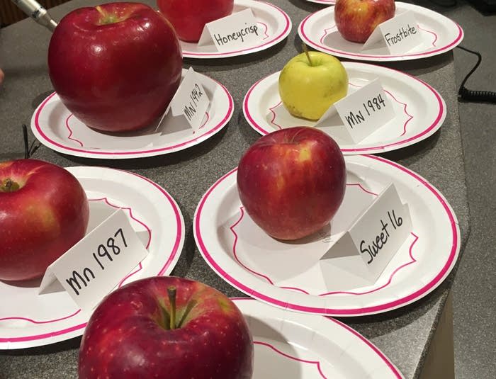 What's the next Honeycrisp? Apple breeder David Bedford might have the ...