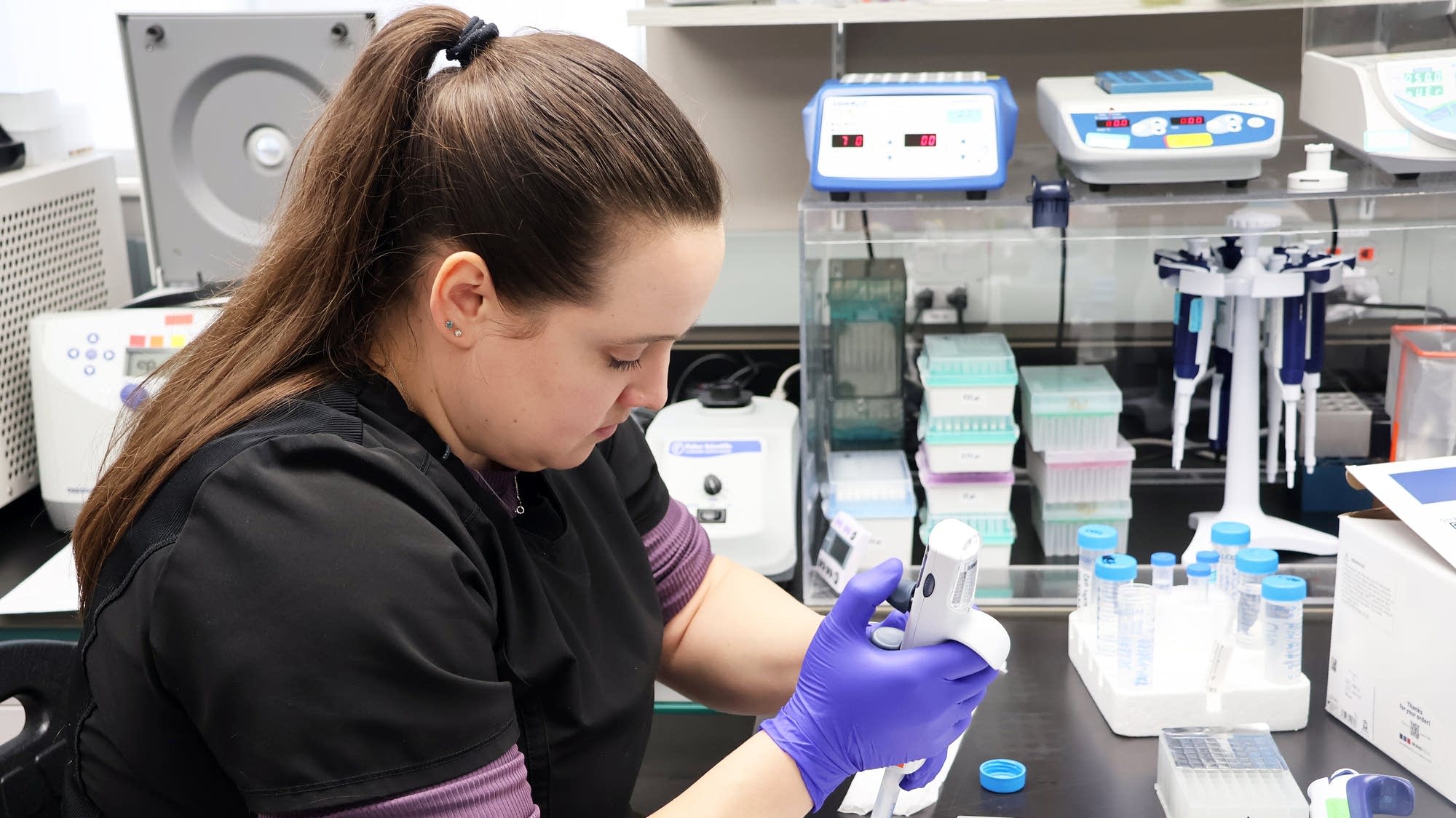 DNA tests help monitor for honeybee disease | MPR News