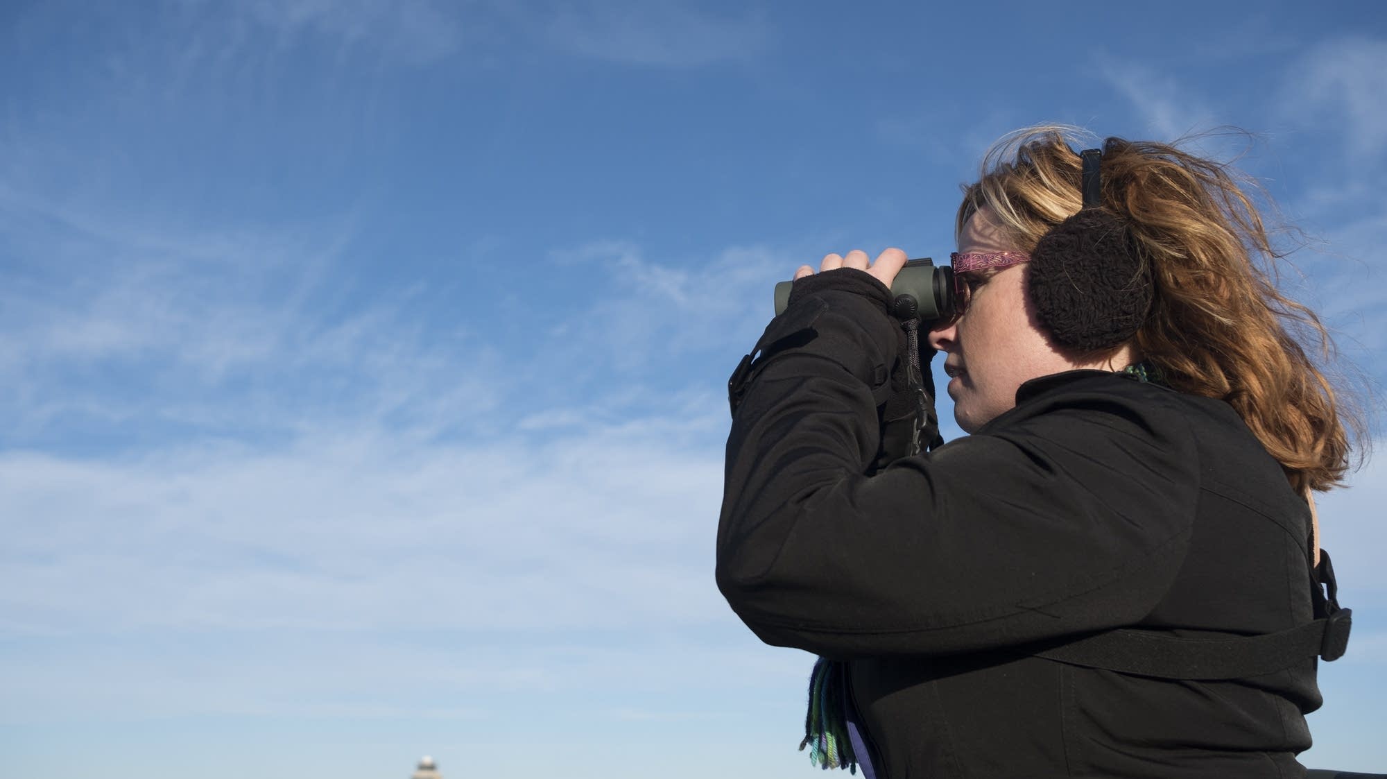 For birders, snowy owl irruption is best seen at MSP airport | MPR News
