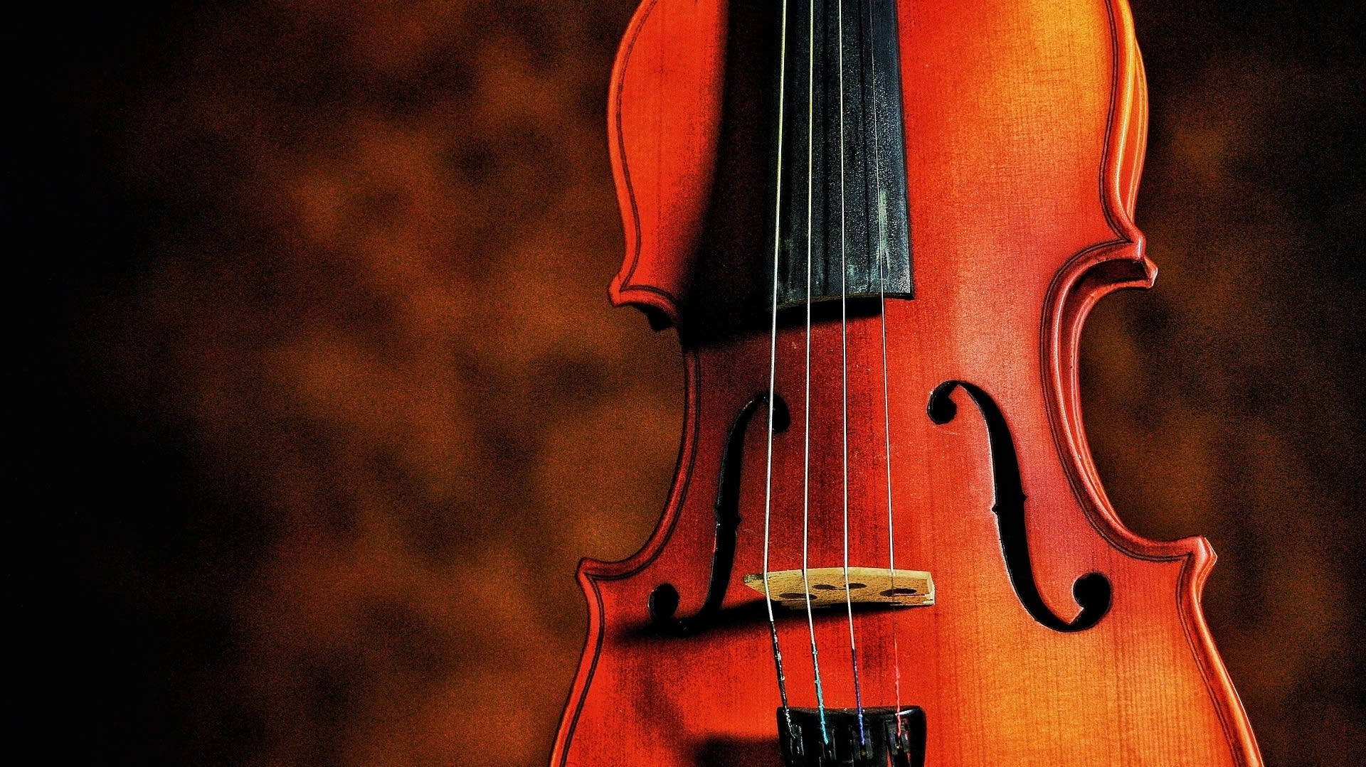 The Warmth of the Viola