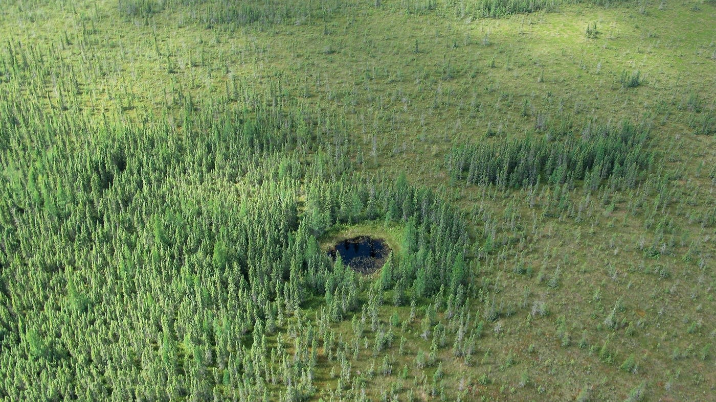 When the U.S. Military bombed the bogs of Minnesota | MPR News