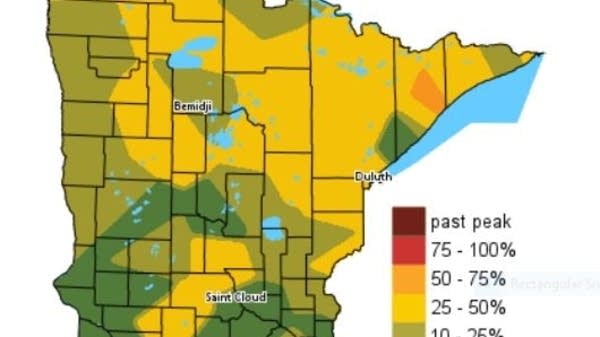 A summery Thursday; fall colors are popping in northern Minnesota | MPR ...