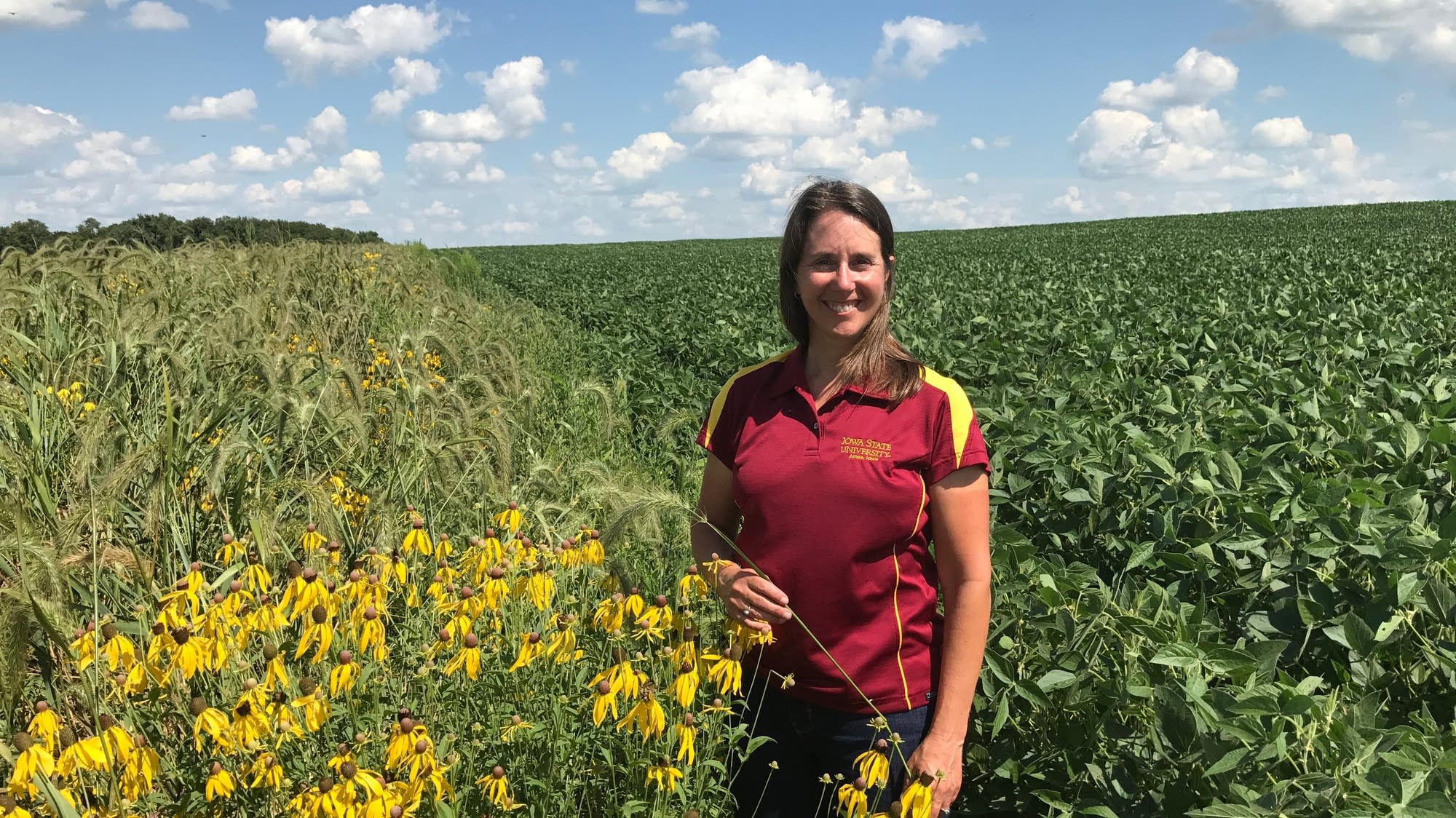 The Genius of Prairie Strips | Field Work