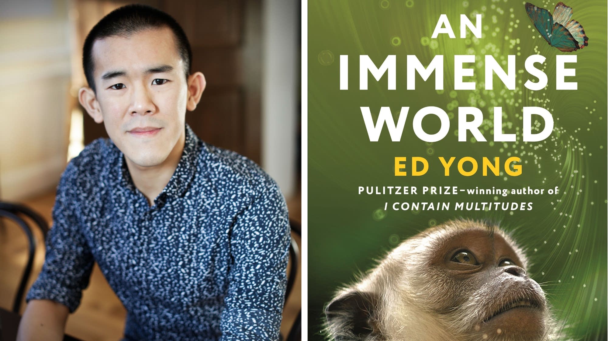 Science journalist Ed Yong on how animals sense the world | MPR News