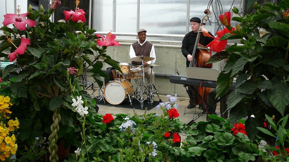 Morning Glories: Spring Music