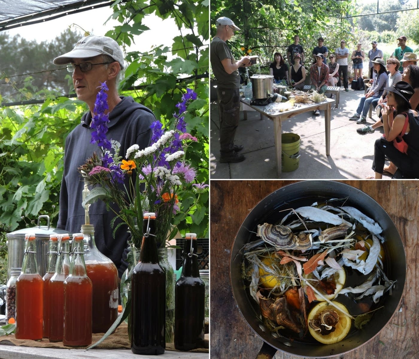 Studying the flavor of a landscape: foraging with Pascal Baudar | The ...