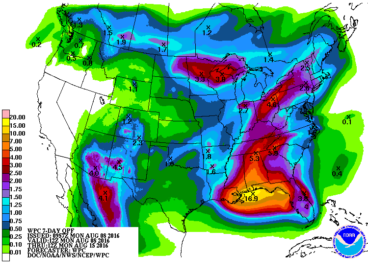 Steamy to stormy: Another active weather week ahead | MPR News