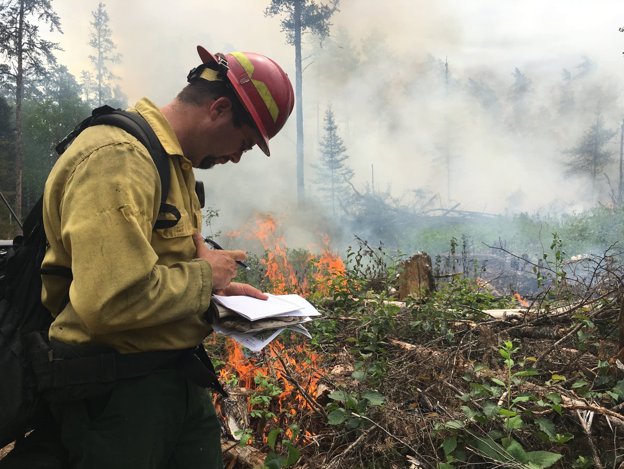 Smokey at 75: America's iconic fire-preventing bear evolves his message ...