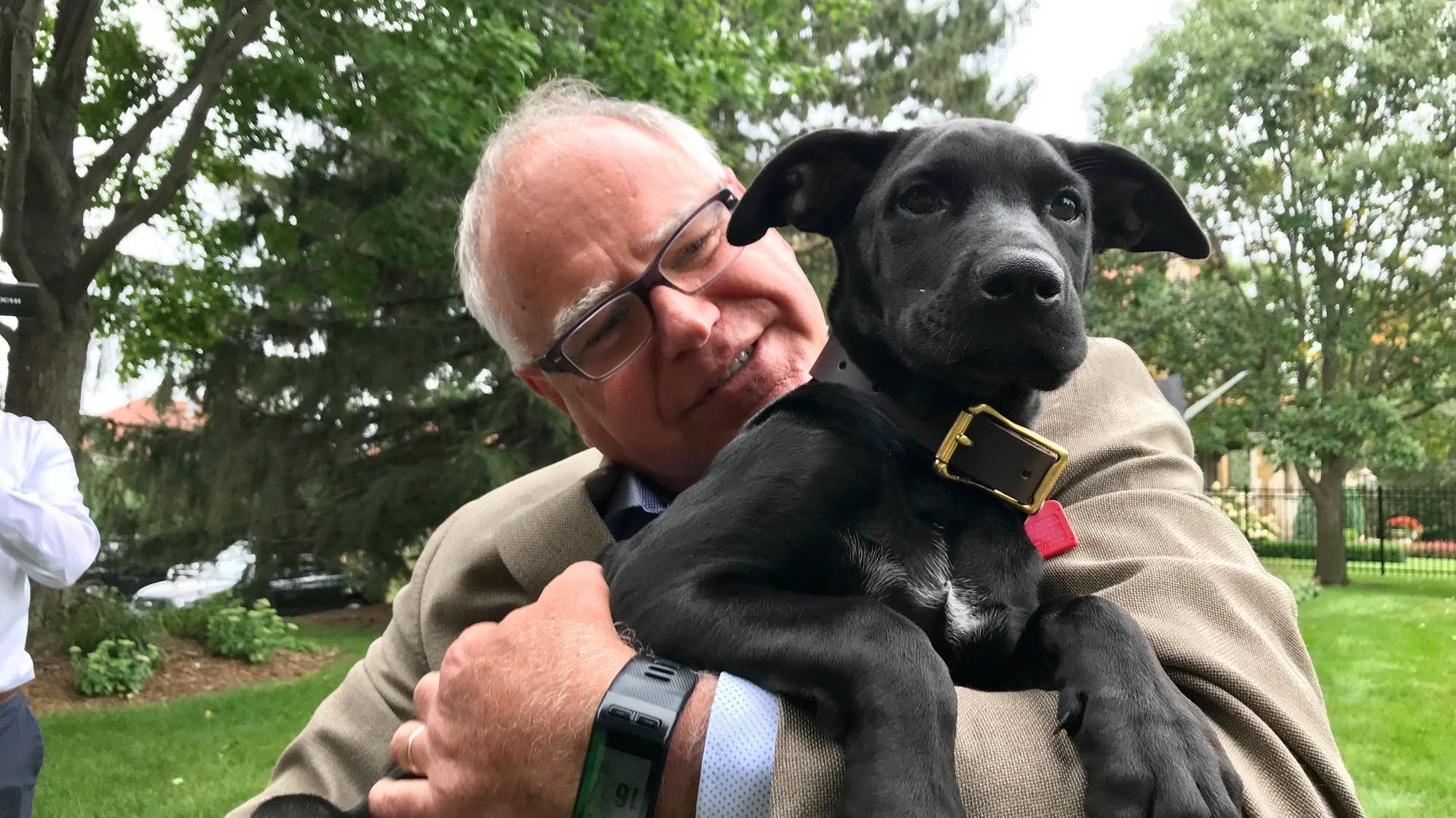 Meet Minnesota’s first puppy, Scout | MPR News