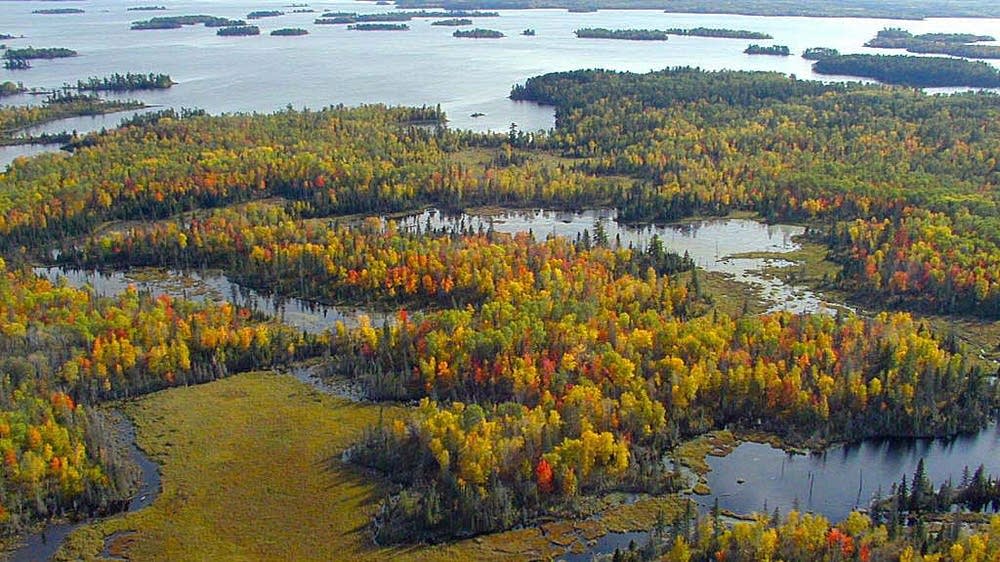 Study of Minnesota lakes finds widespread drug contamination | MPR News