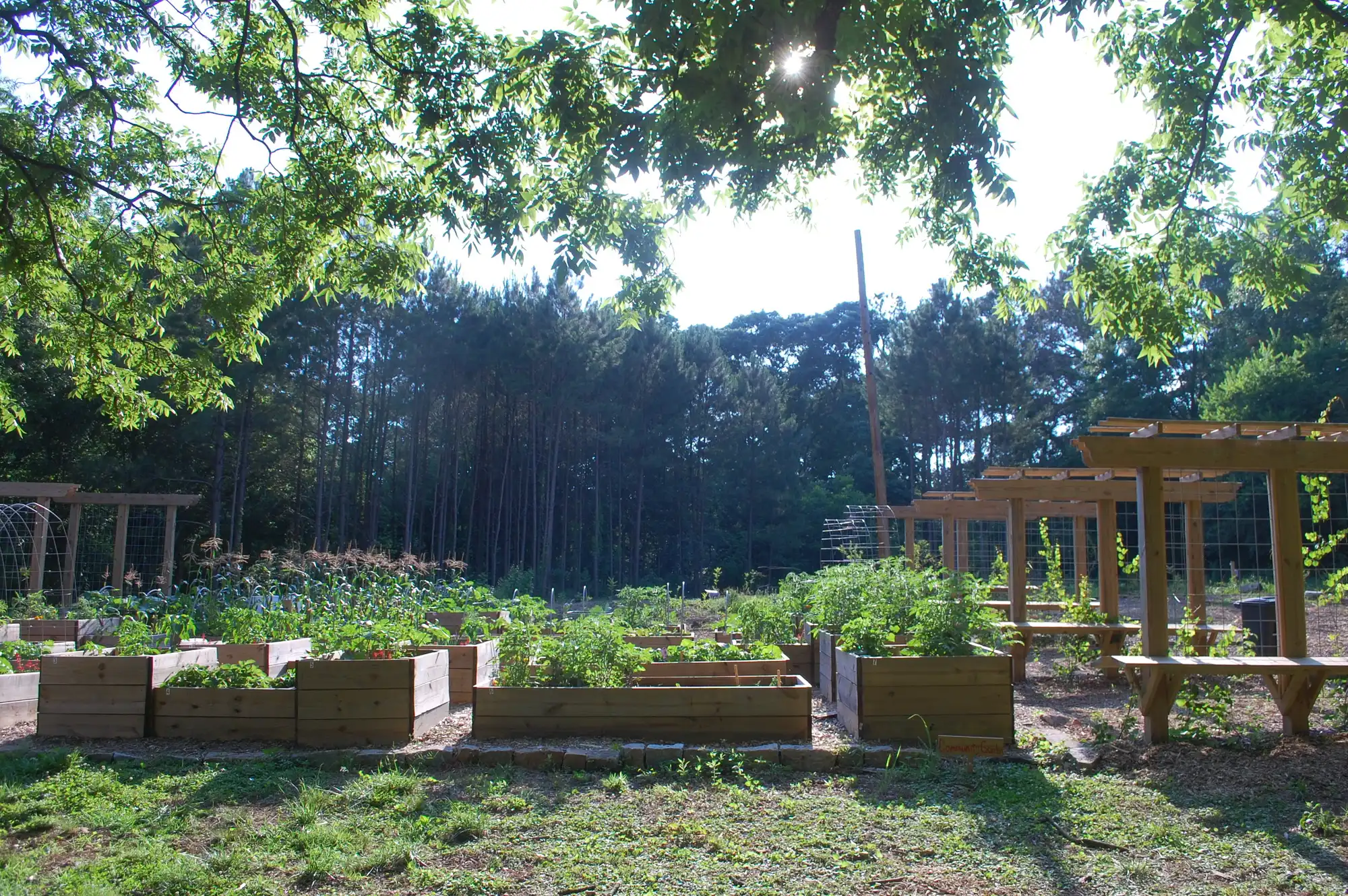 In a food desert, Atlanta now has a “food forest”