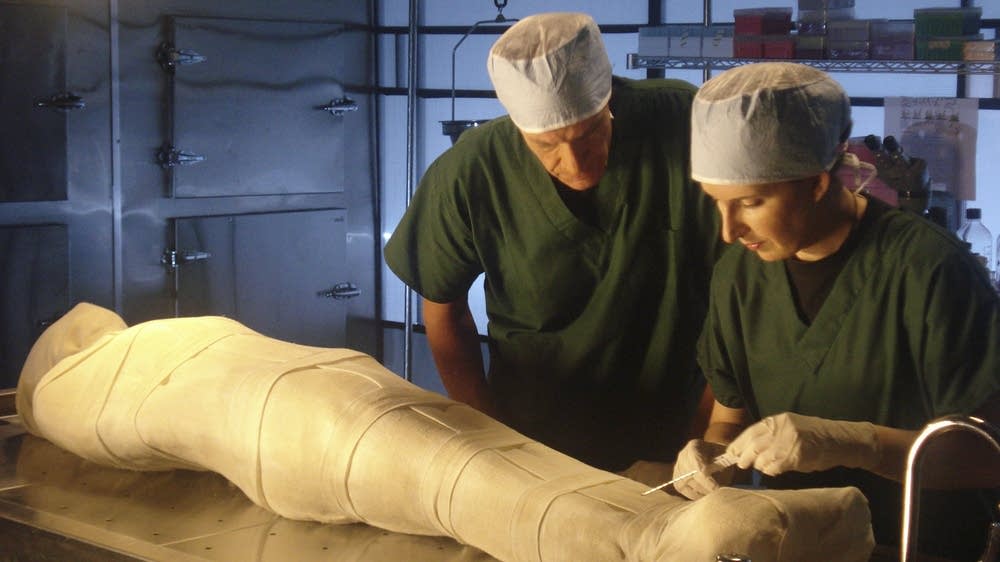 Mr. Mummy discusses King Tut's secrets | MPR News