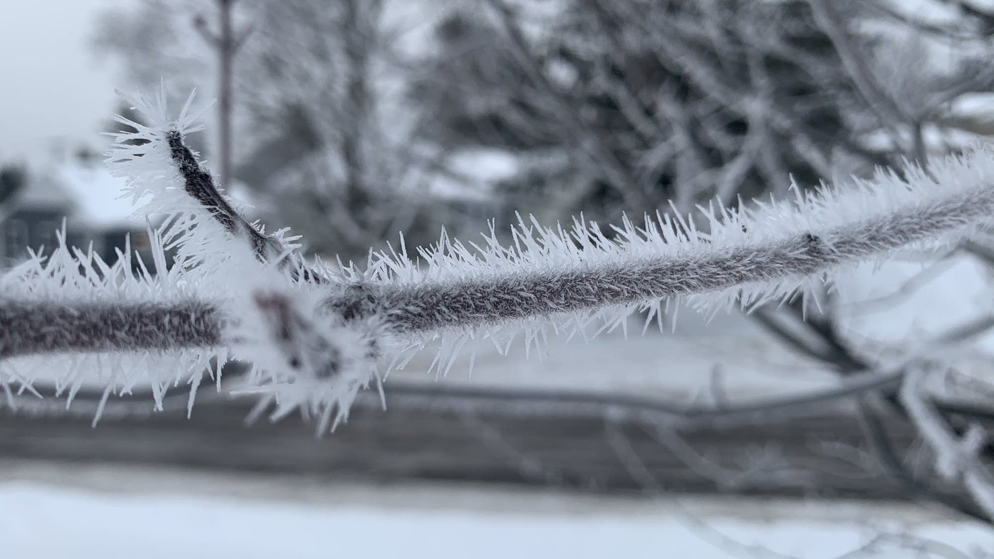 Weather art: Spectacular rime ice formations across Minnesota | MPR News