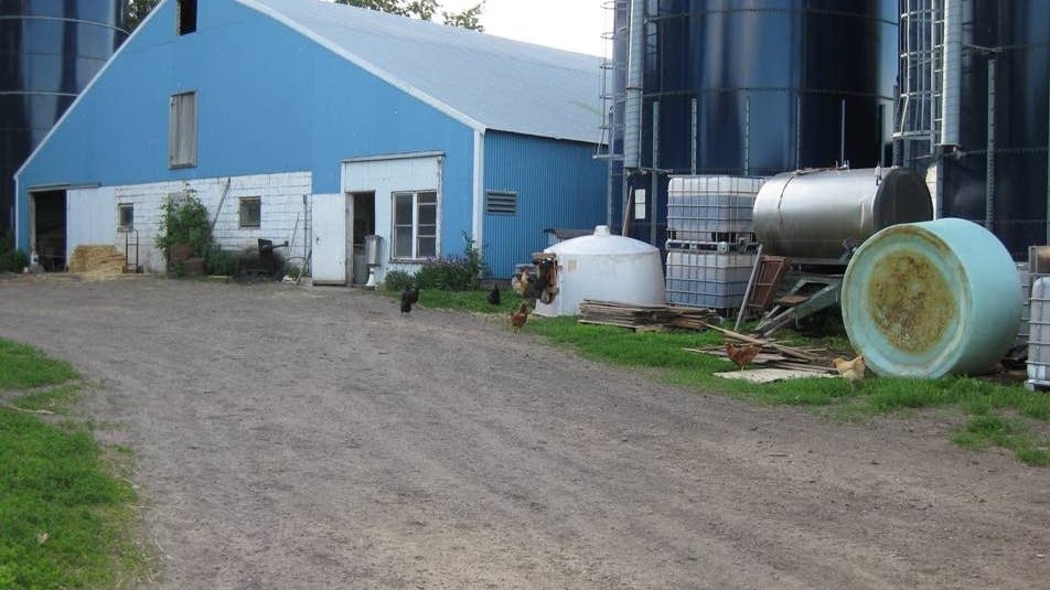 Dairy farmer's witness concedes problems while defending farm | MPR News