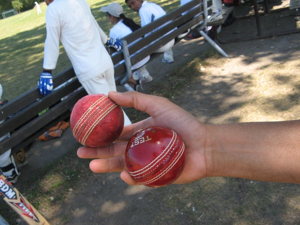 Big cricket tournament comes to Minneapolis | Minnesota Public Radio News