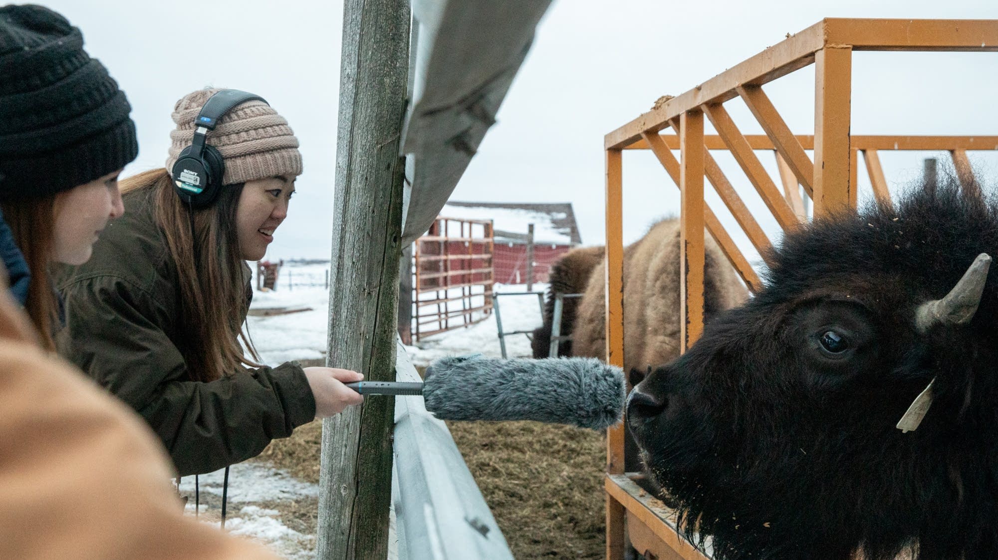 I’m Asian American in rural Minnesota and have felt the sting of ...