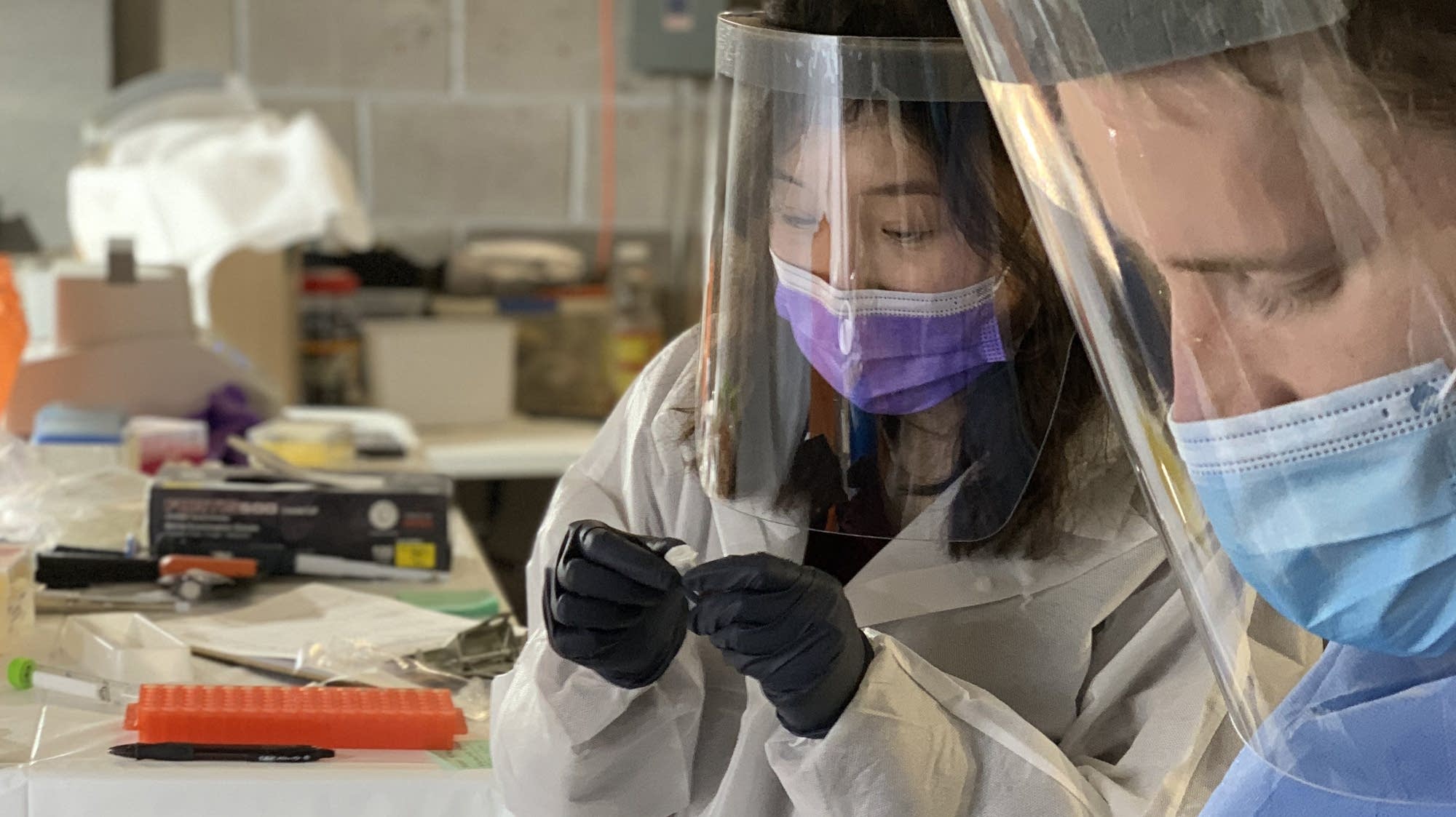 CWD detected in two new areas of the state | MPR News