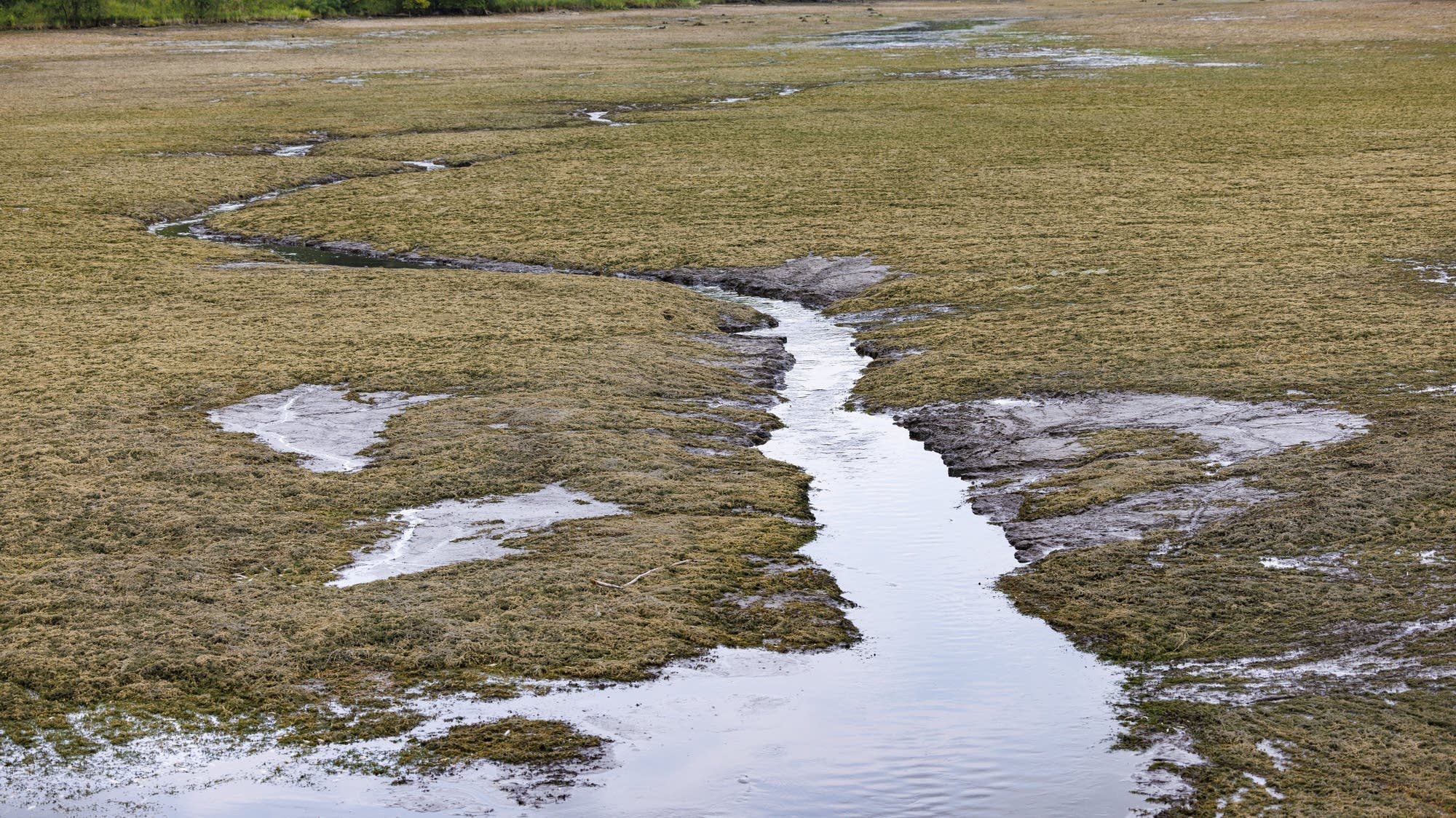 Lake Alice in William O'Brien State Park drained | MPR News