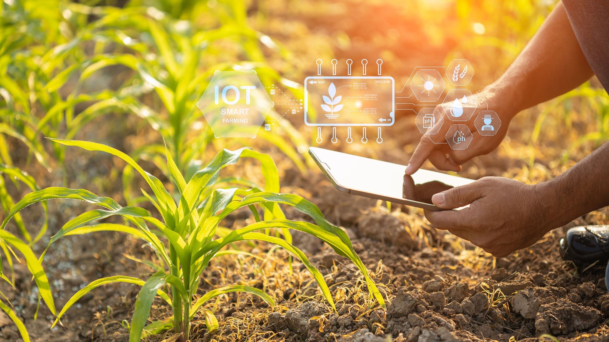 Farm workers head back to school to upskill in agtech