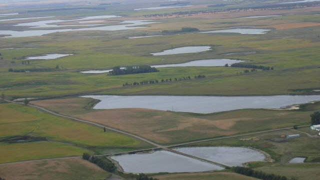 Uncertainty over conservation programs in the farm bill | MPR News