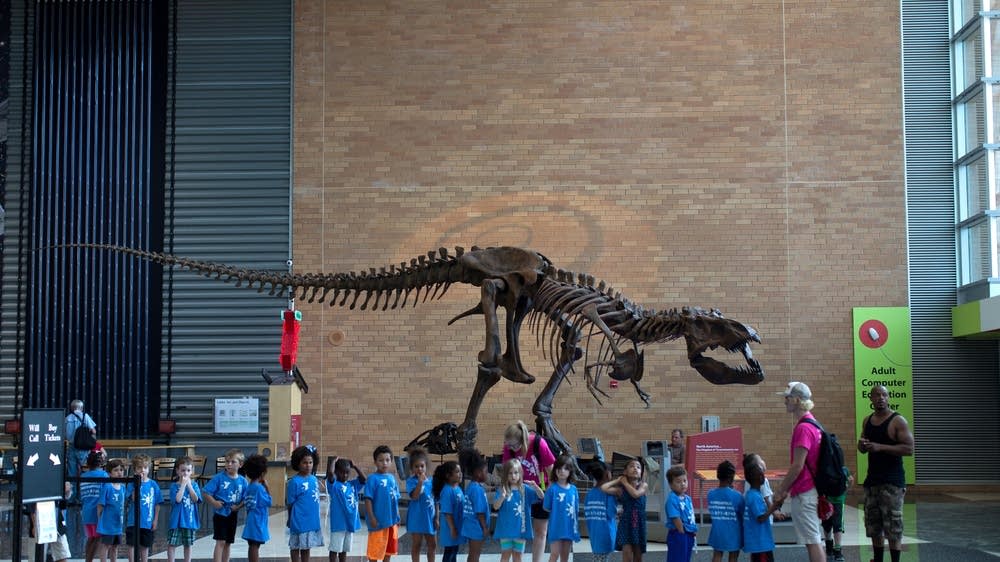 Science Museum of Minnesota looks ahead to major STEM expansion | MPR News