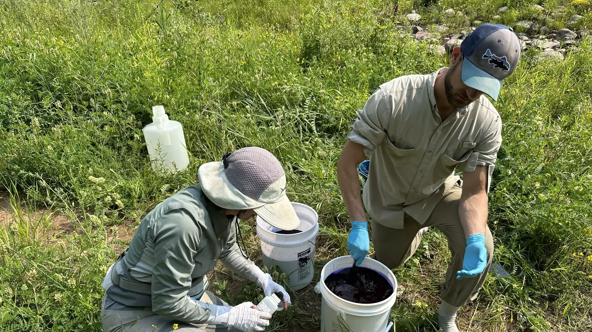 Researchers in Duluth turn streams purple to help measure effectiveness ...