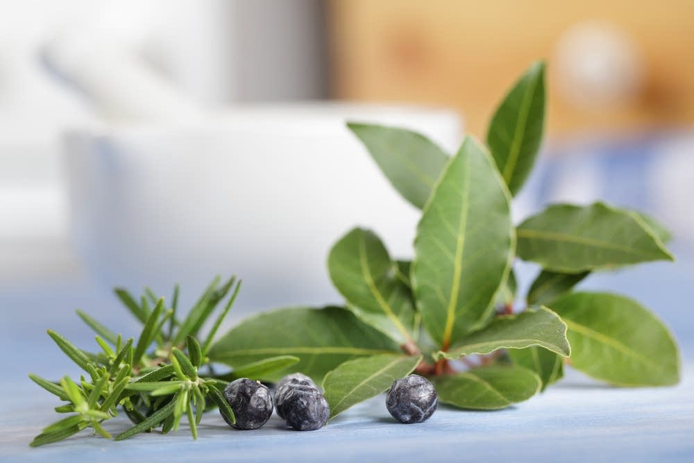 Vivian Howard’s Rosemary Pine Needle Brine | The Splendid Table