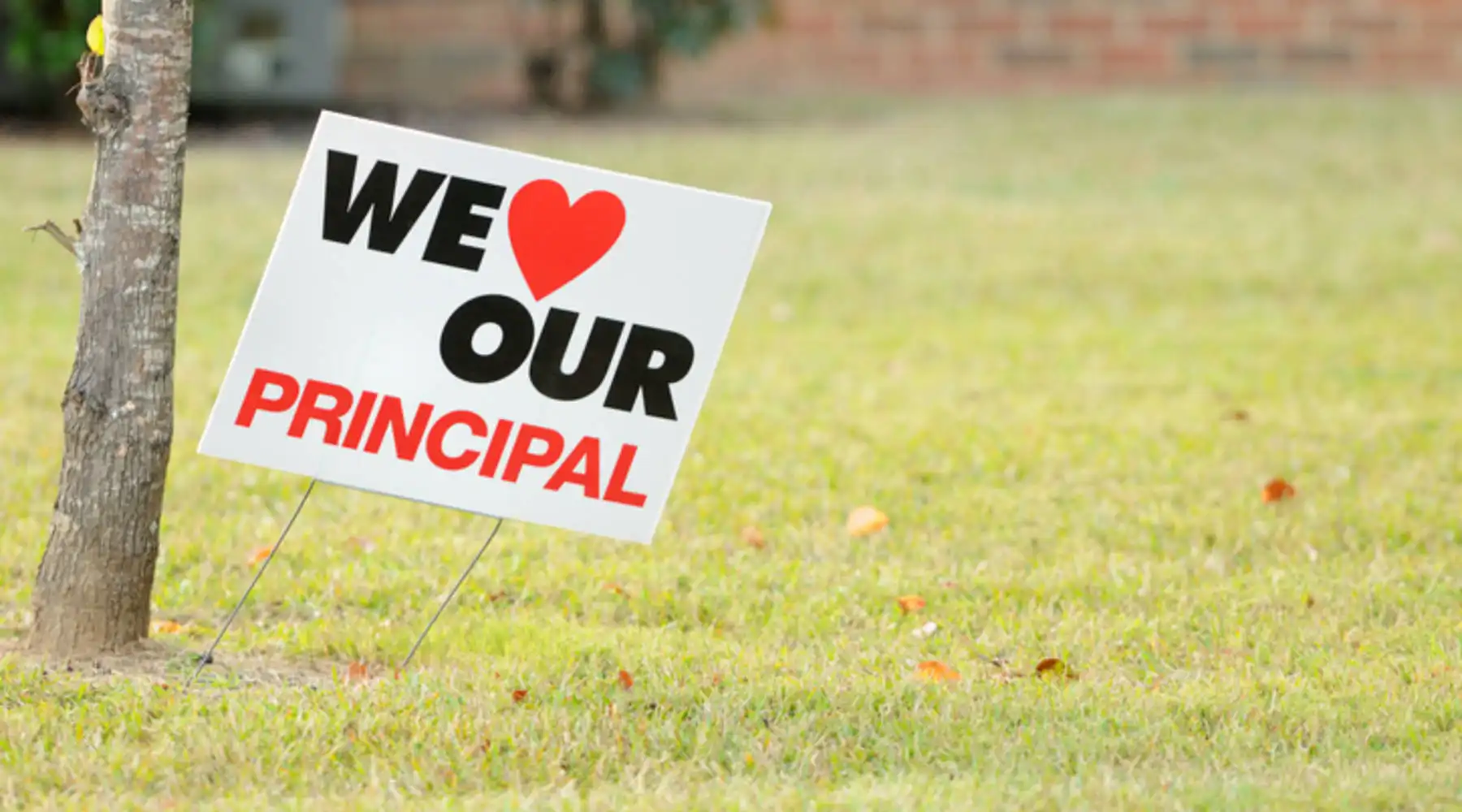 Are principals the key to better schools?