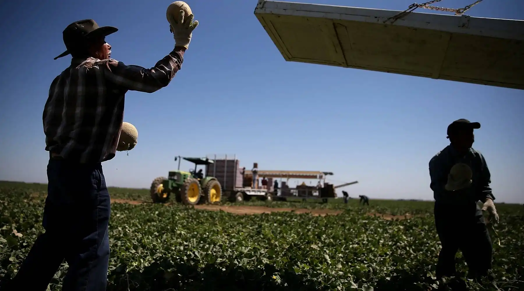 E-Verify tool to check employee work status falls short