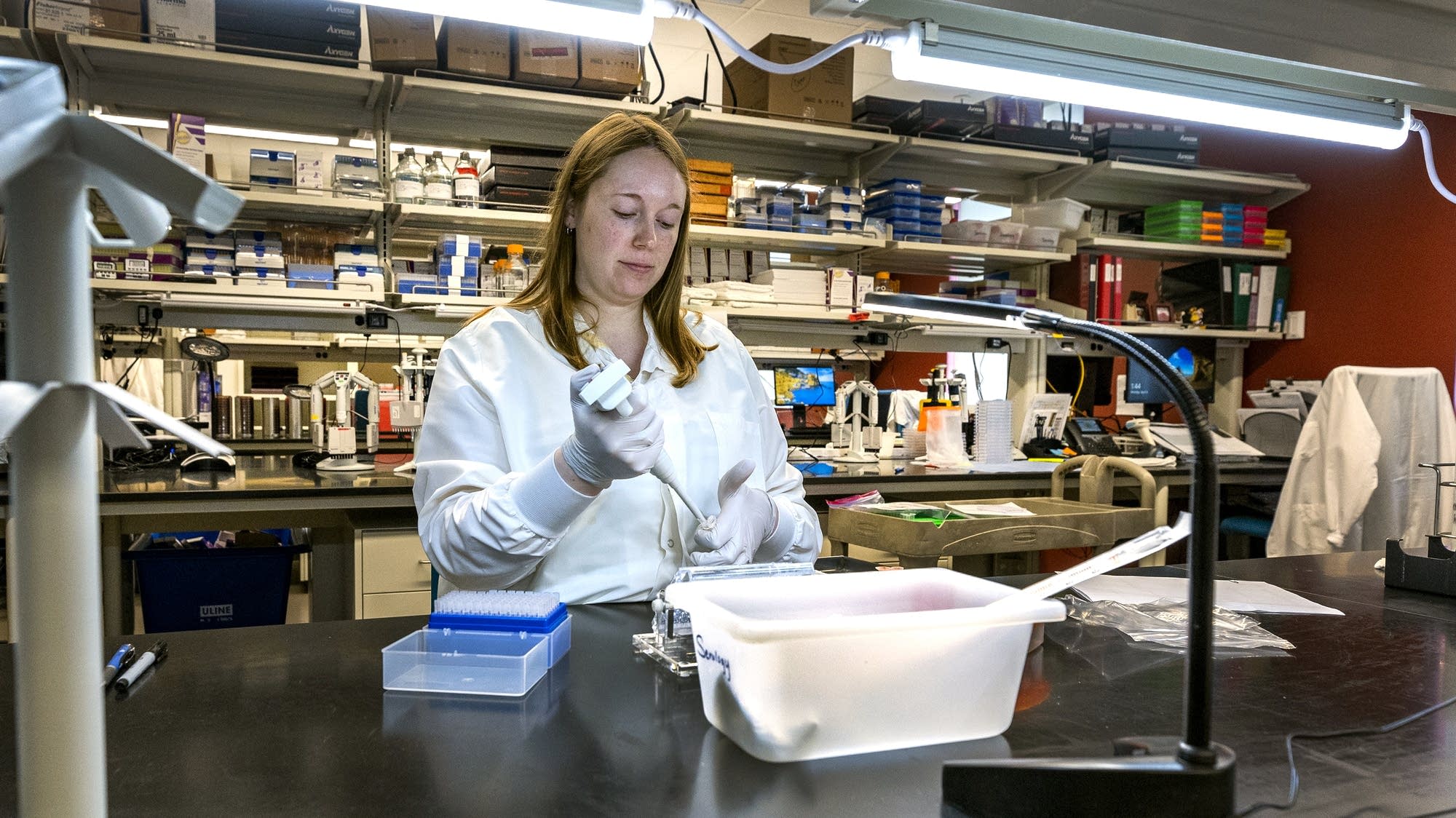 ‘A lot at risk’: Expanded Willmar lab plays key role in tracking bird ...