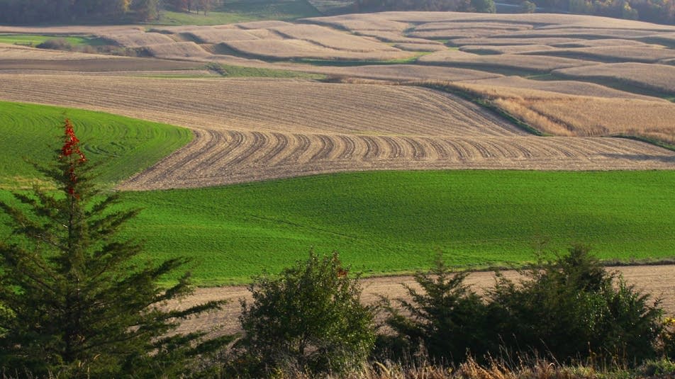 Survey suggests slow economic growth in Midwest, Plains | MPR News