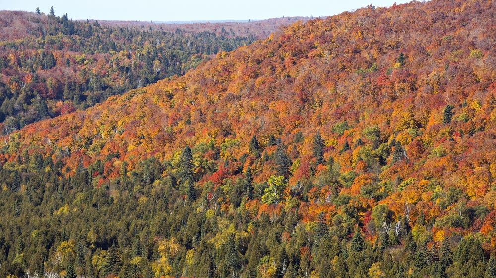 Photos: North Shore ablaze in color | MPR News