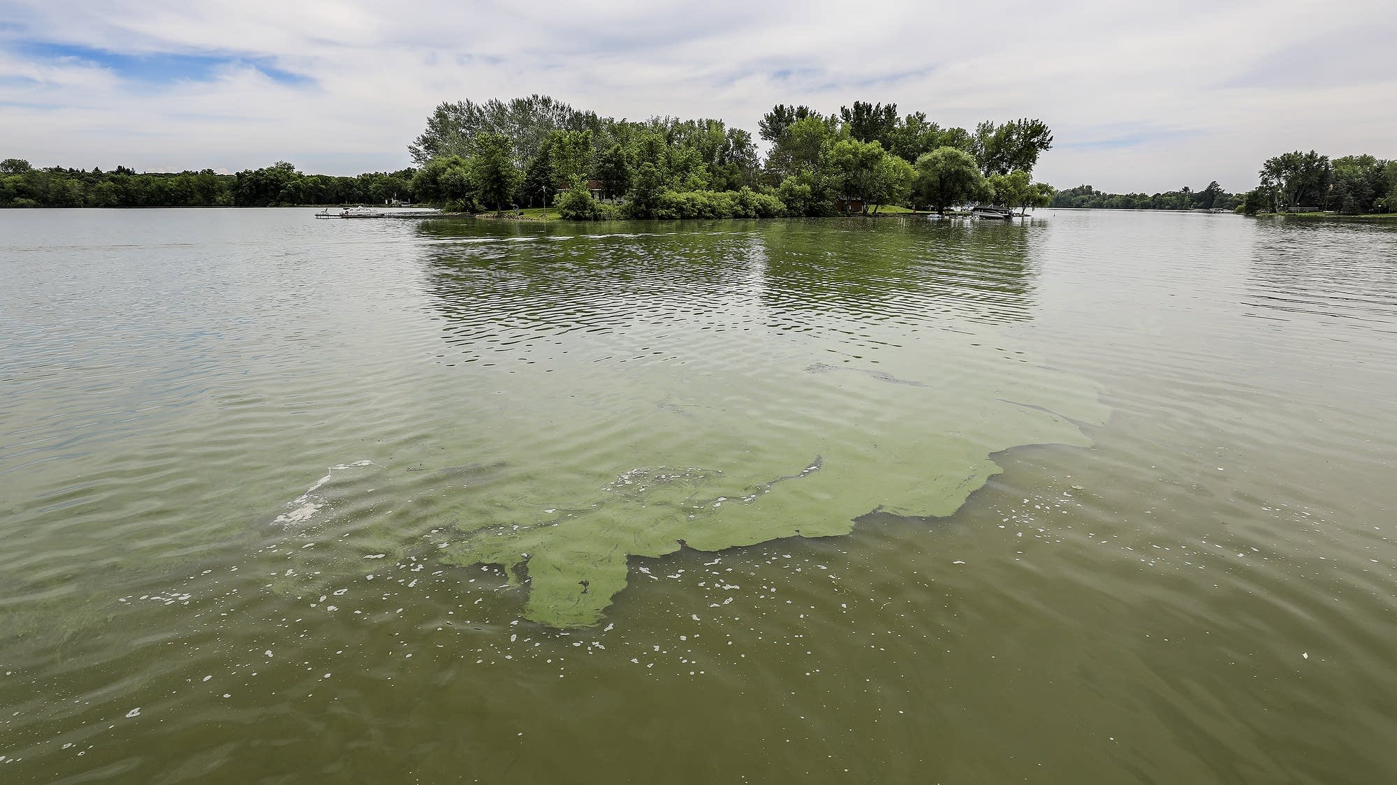 Conditions ripe for a record number of algae blooms | MPR News