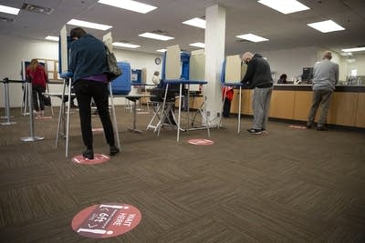 MN Secretary of State Steve Simon answers your voting questions | MPR News